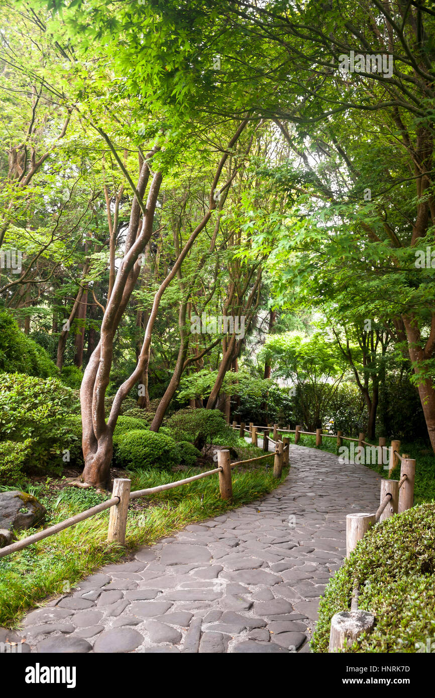 A cobblestone garden path lined by trees in summer Stock Photo - Alamy