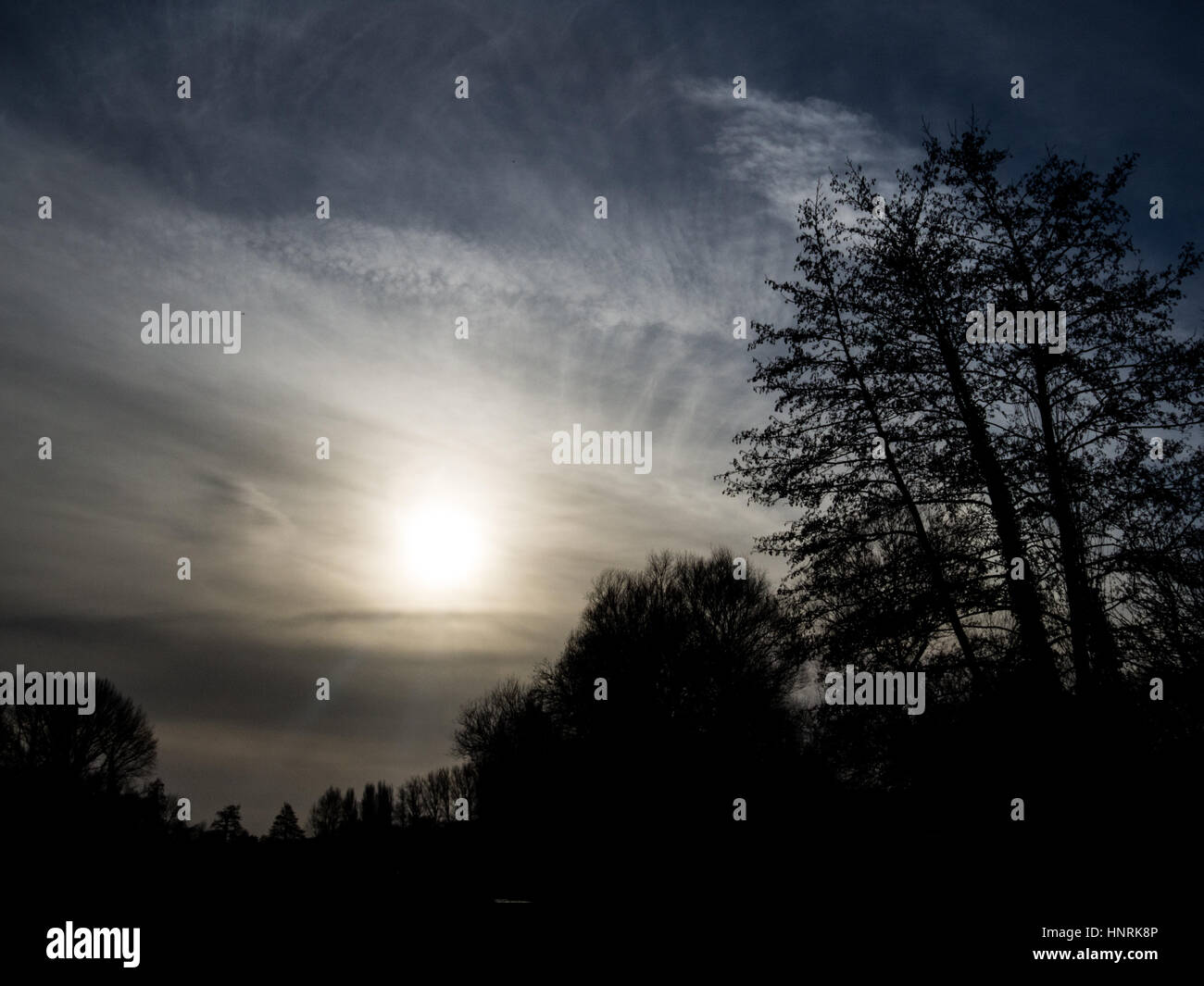 Grey skies tree hi-res stock photography and images - Alamy