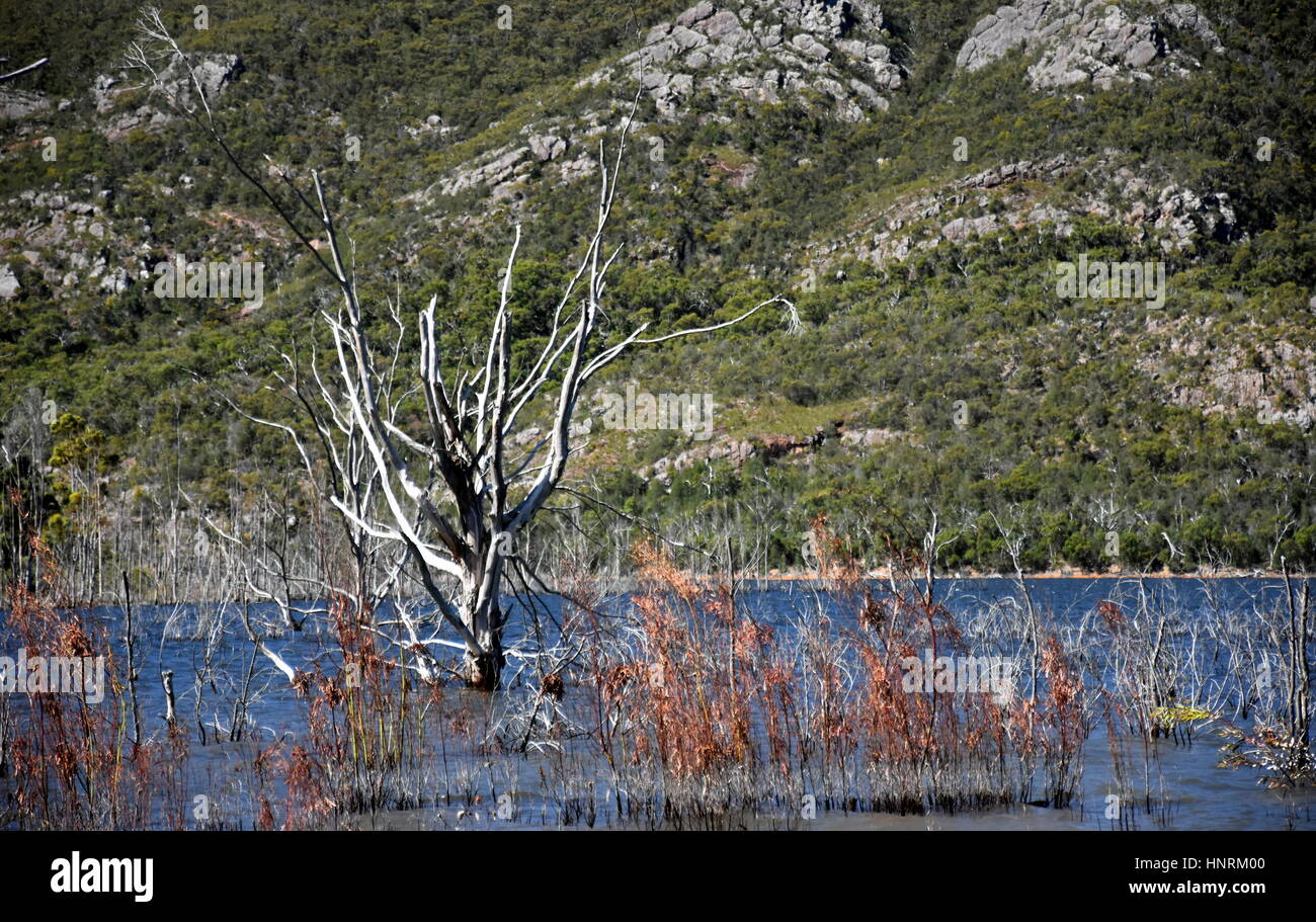 Lake Bellfield in the Grampians National Park Victoria Australia Stock ...