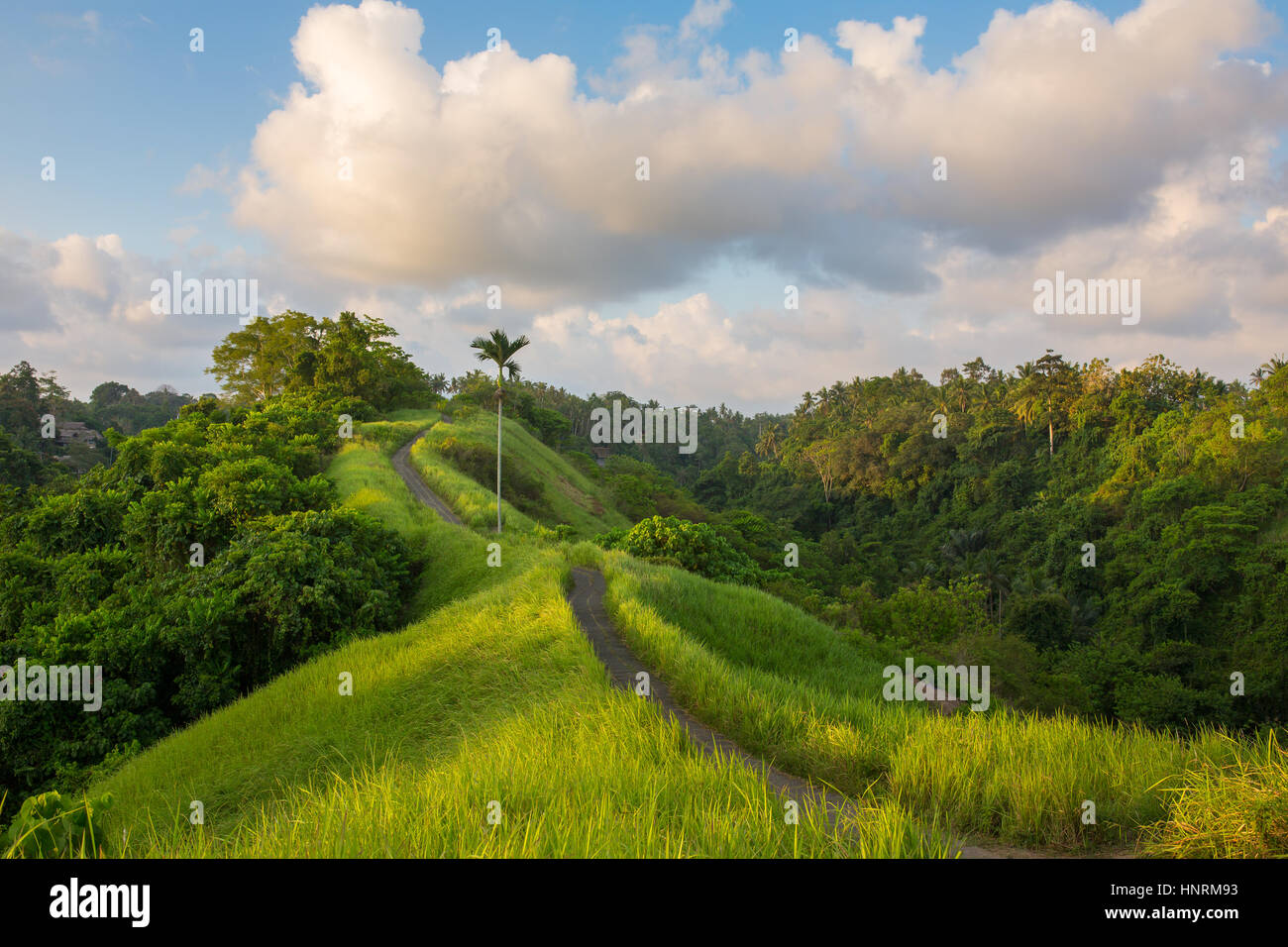 Sunset sky over the famous Campuhan Ridge Walk in Ubud, Bali, Indonesia ...