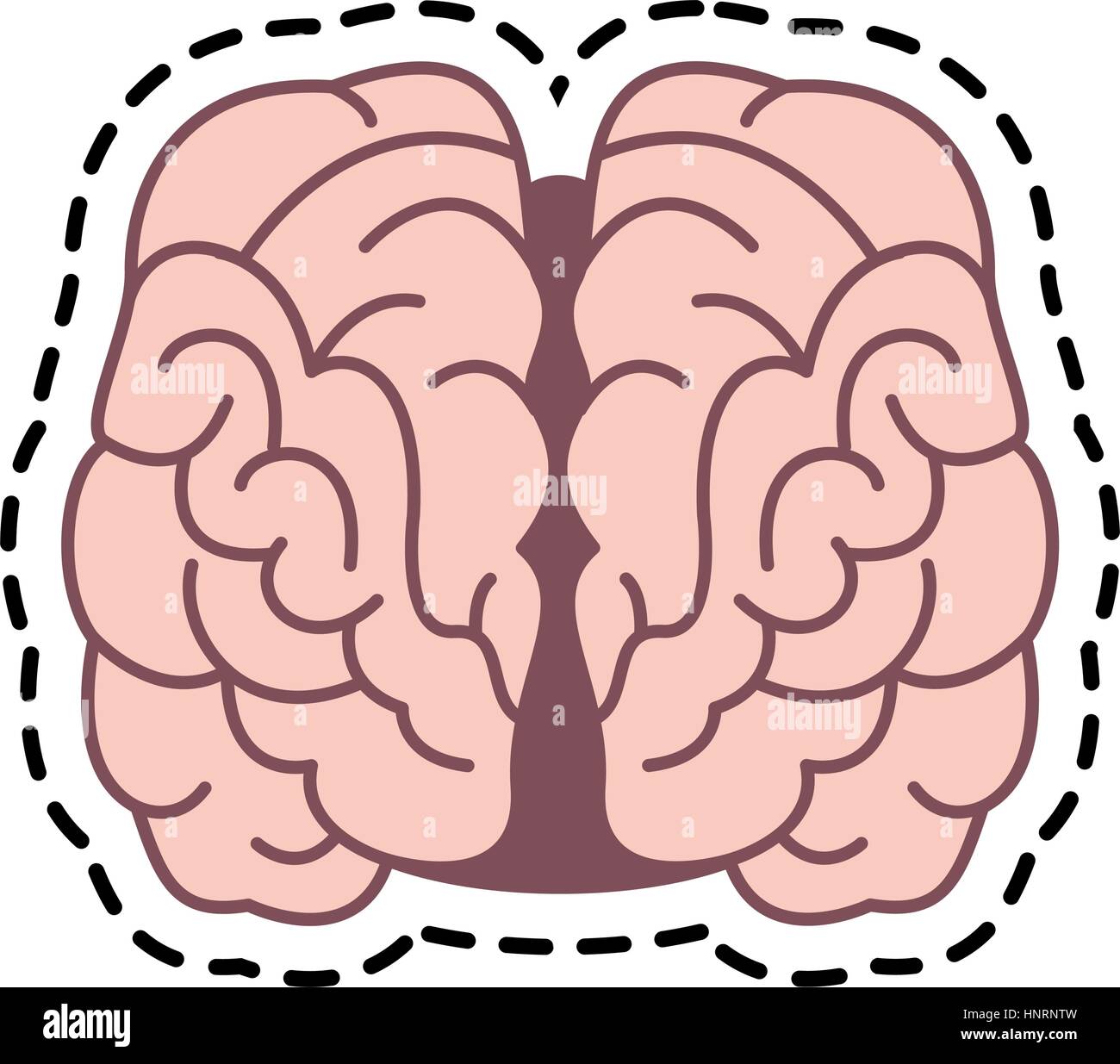 human brain organ icon over white background. colorful design. vector ...