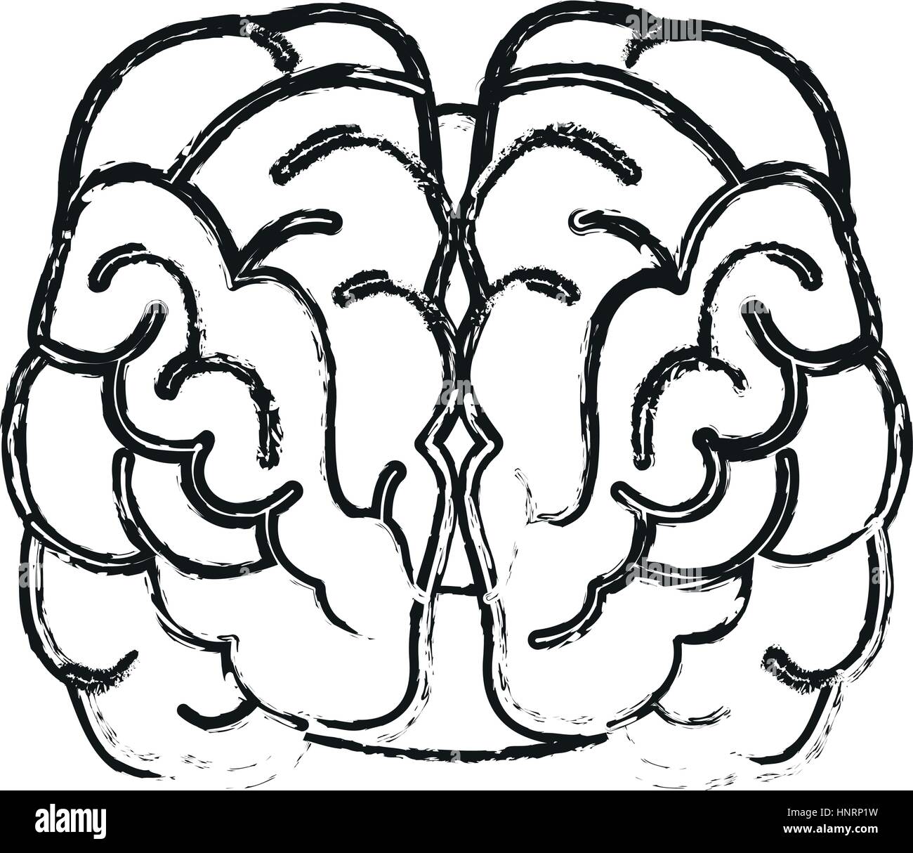 Human brain organ icon over white background. vector illustration Stock ...
