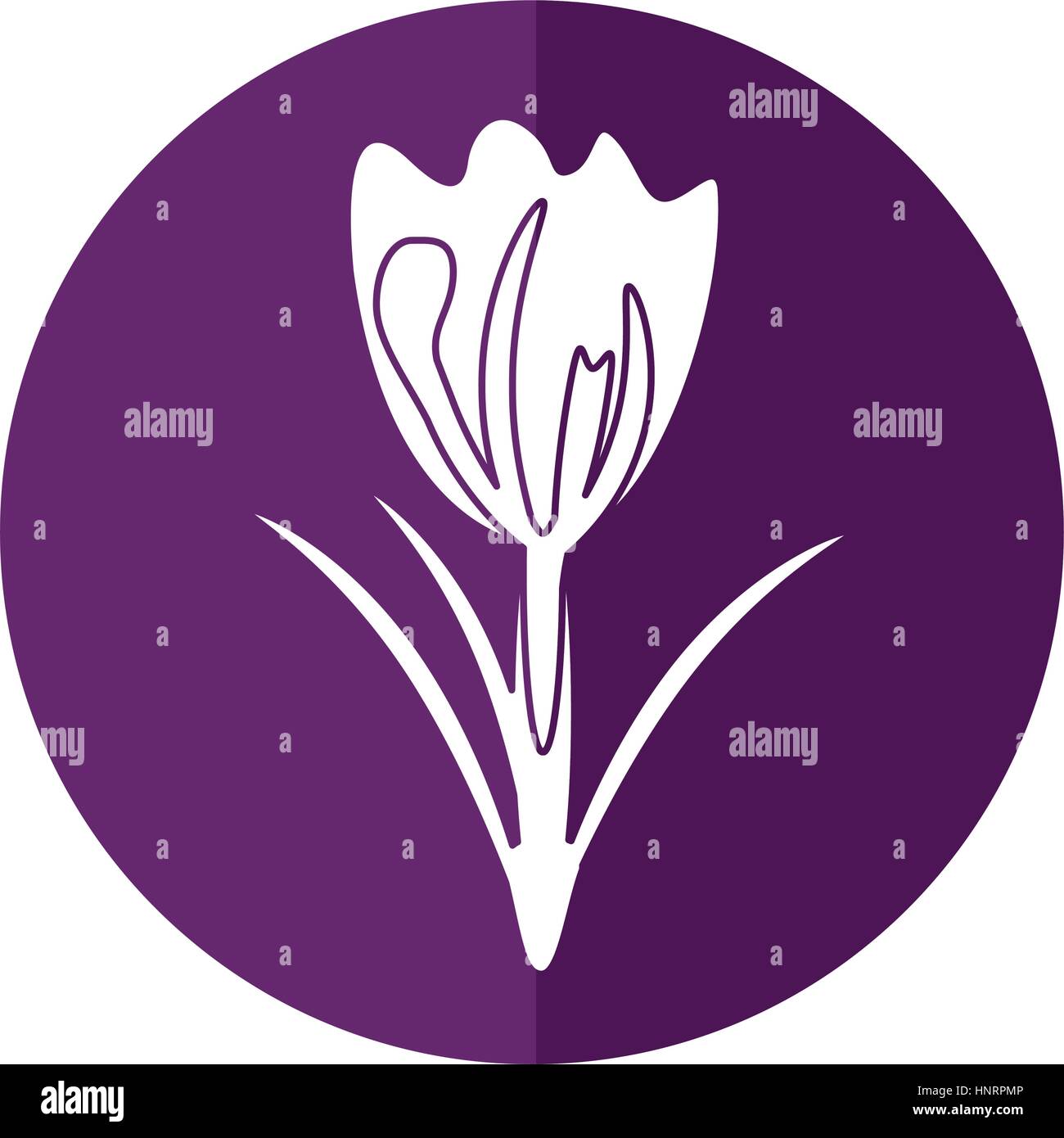 flower spring natural decoration shadow vector illustration eps 10 ...