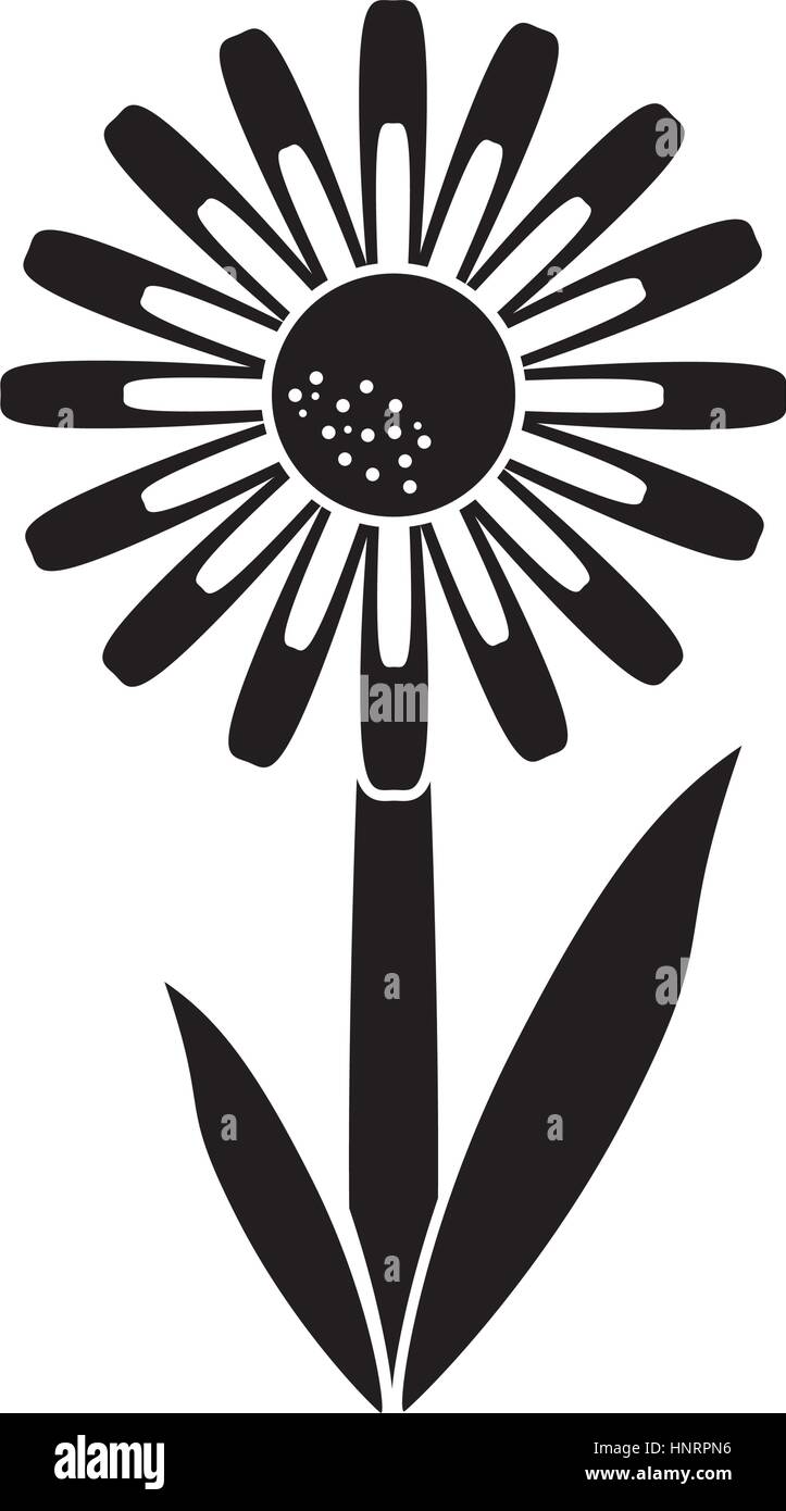 daisy floral garden spring pictogram vector illustration eps 10 Stock ...