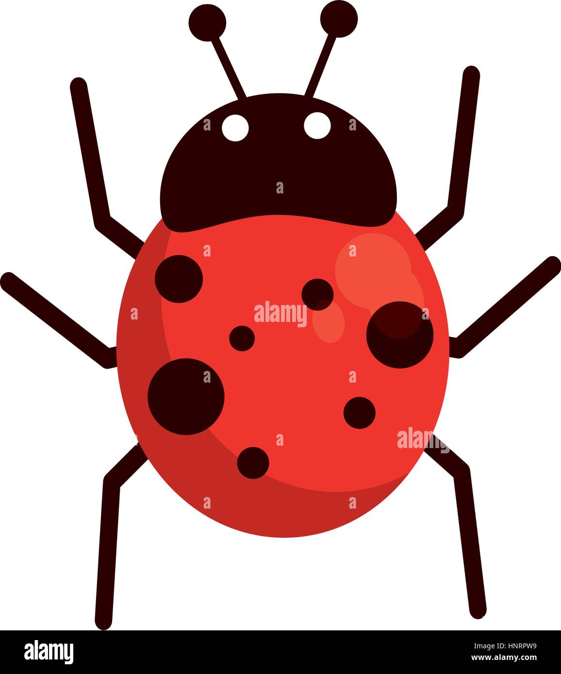ladybug fly antenna animal vector illustration eps 10 Stock Vector ...