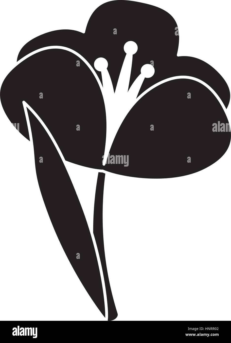 crocus plant spring floral pictogram vector illustration eps 10 Stock ...