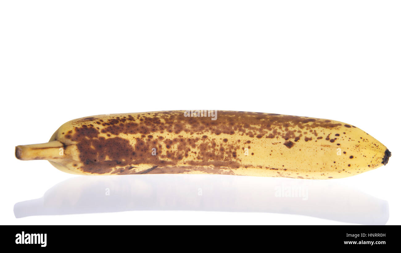 One single over ripe rotting banana isolated on white background ...