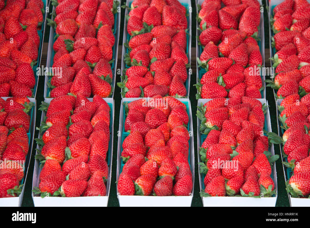 Fresh local strawberries hi-res stock photography and images - Alamy