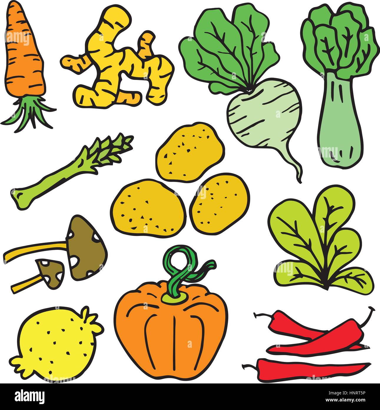 Doodle of vegetable various set vector art collection Stock Vector ...