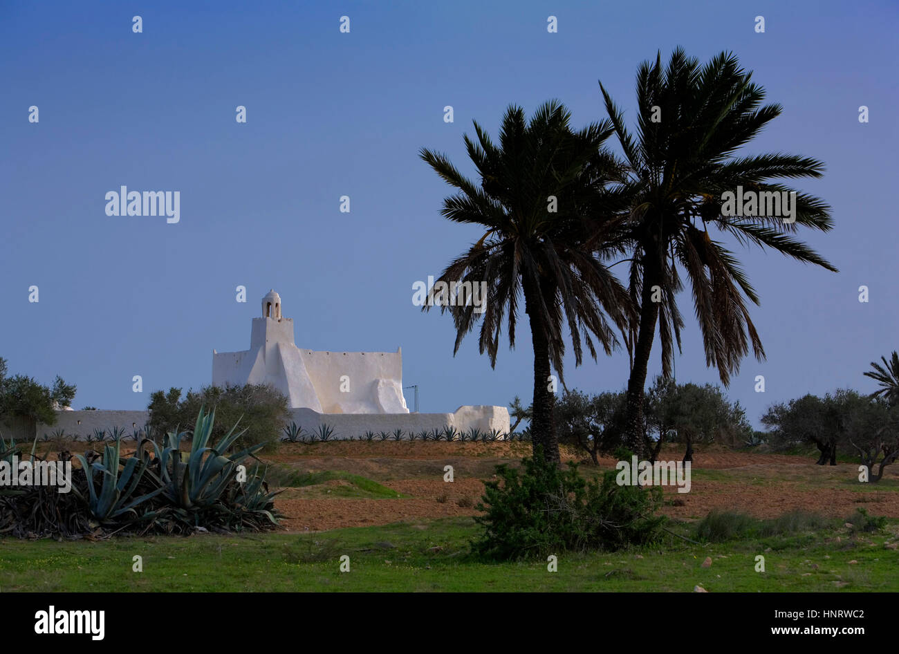 Tunisia.Djerba. Mosque Jamel Fandhloun Stock Photo - Alamy