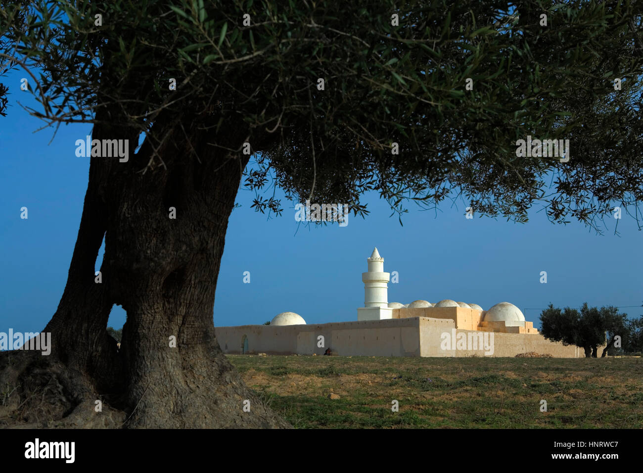 Mosque of the olive tree mosque hi-res stock photography and images - Alamy