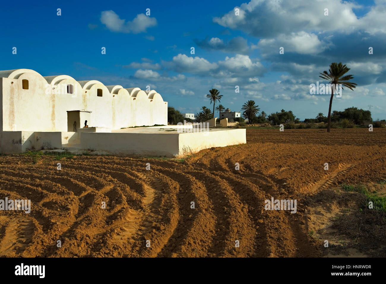 Djerba tunisia houses hi-res stock photography and images - Alamy