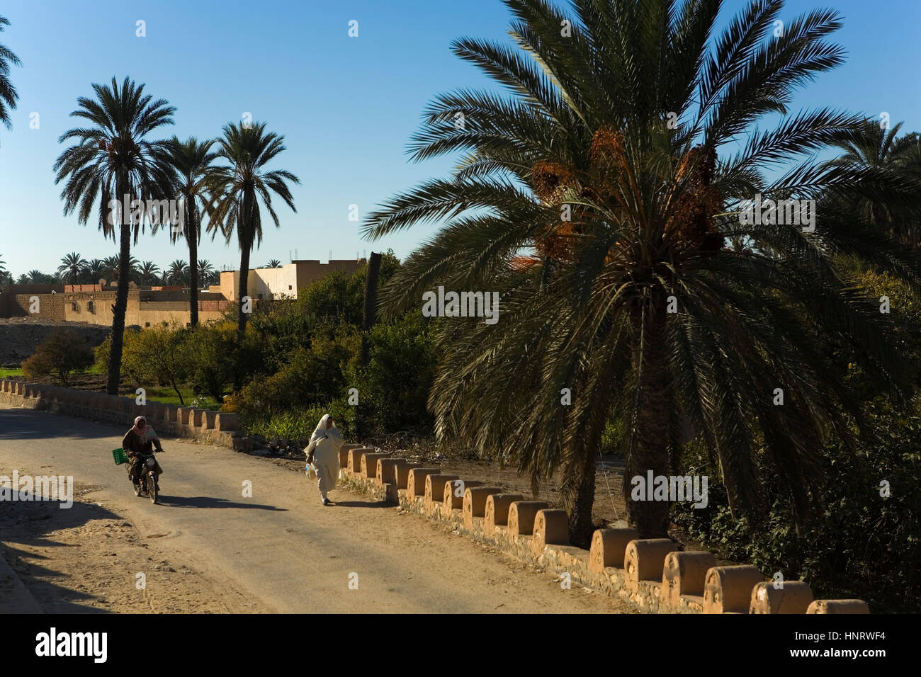 Gafsa hi-res stock photography and images - Alamy