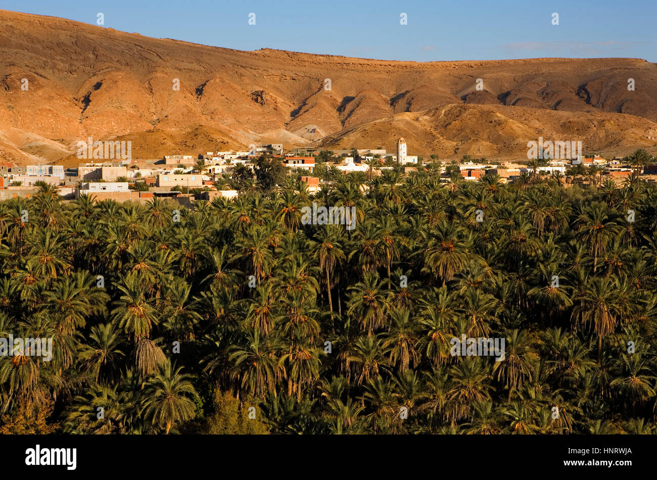 Tamerza oasis hi-res stock photography and images - Alamy
