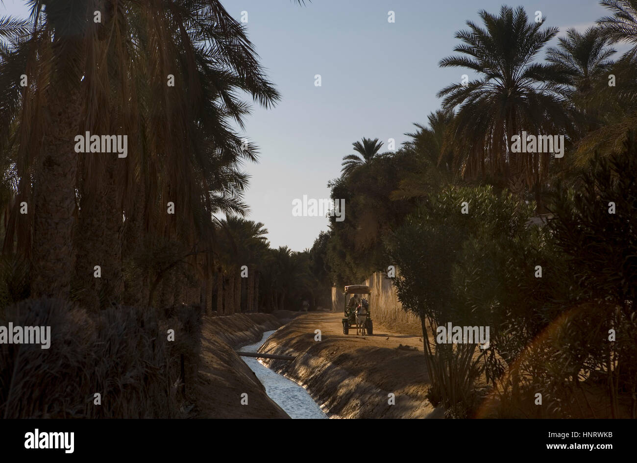 Tozeur oasis hi-res stock photography and images - Alamy