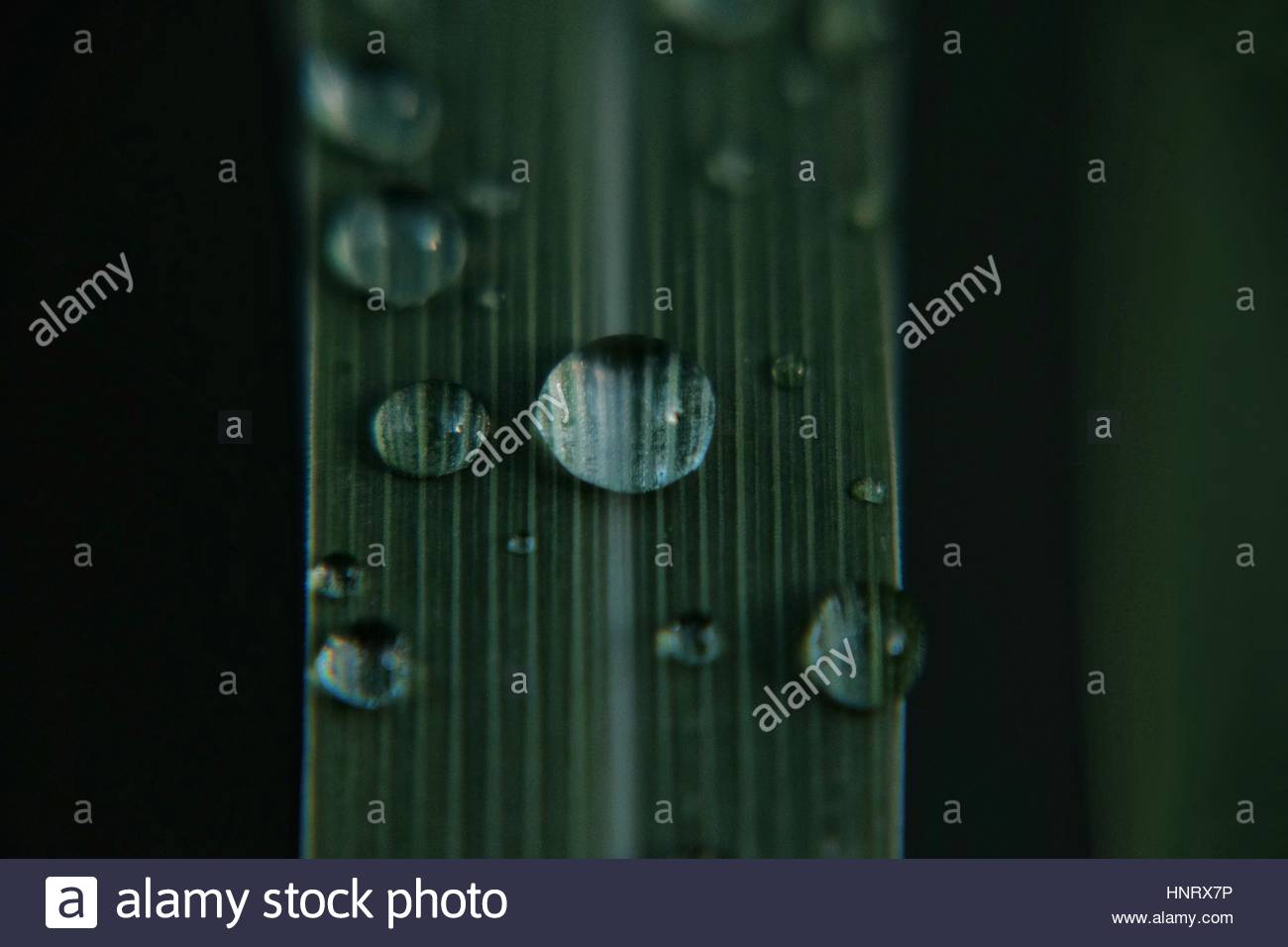 Waterdrop Stock Photos & Waterdrop Stock Images - Alamy
