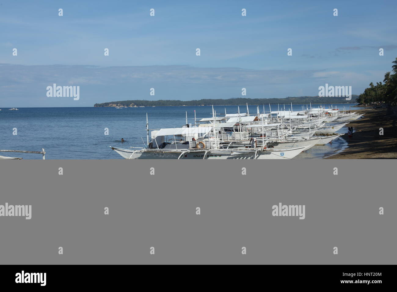 Donsol whale shark hi-res stock photography and images - Alamy