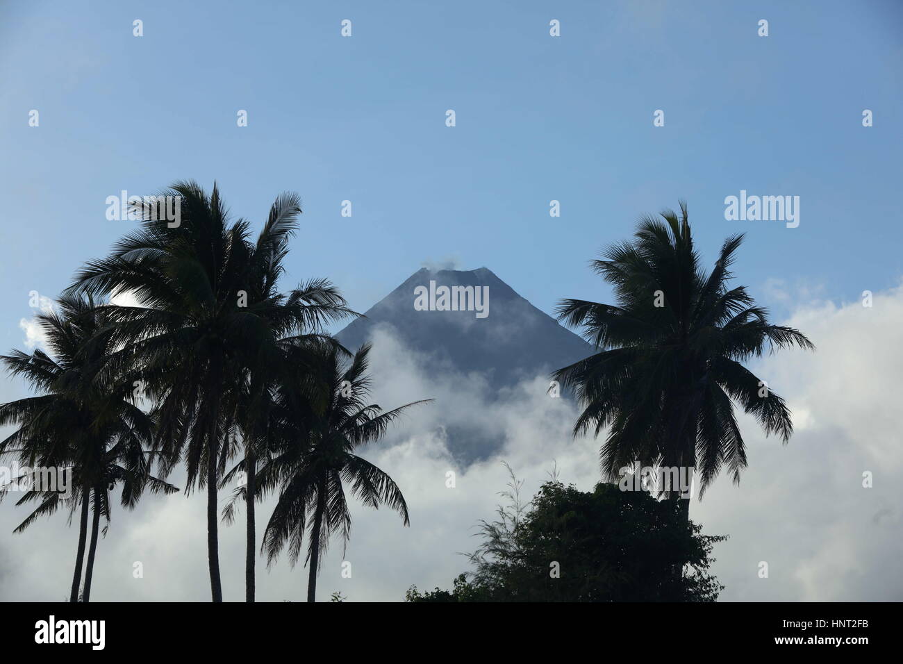 Mayon volcano natural park hi-res stock photography and images - Alamy