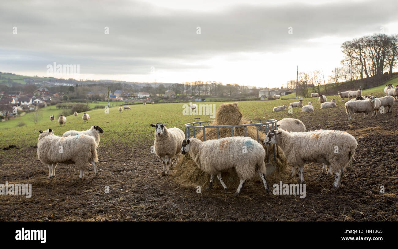 Menston west yorkshire hi-res stock photography and images - Alamy