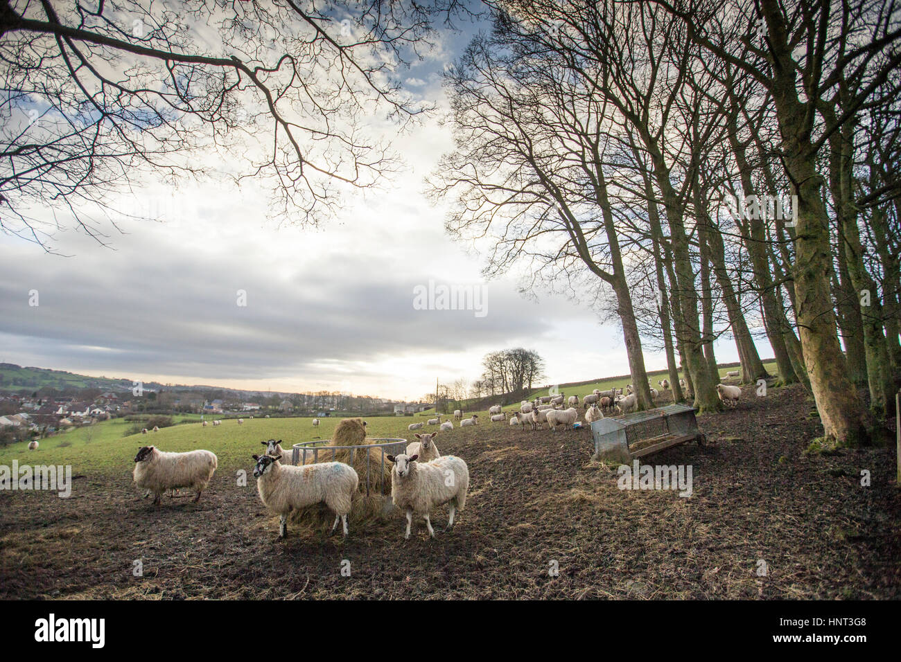 Menston west yorkshire hi-res stock photography and images - Alamy