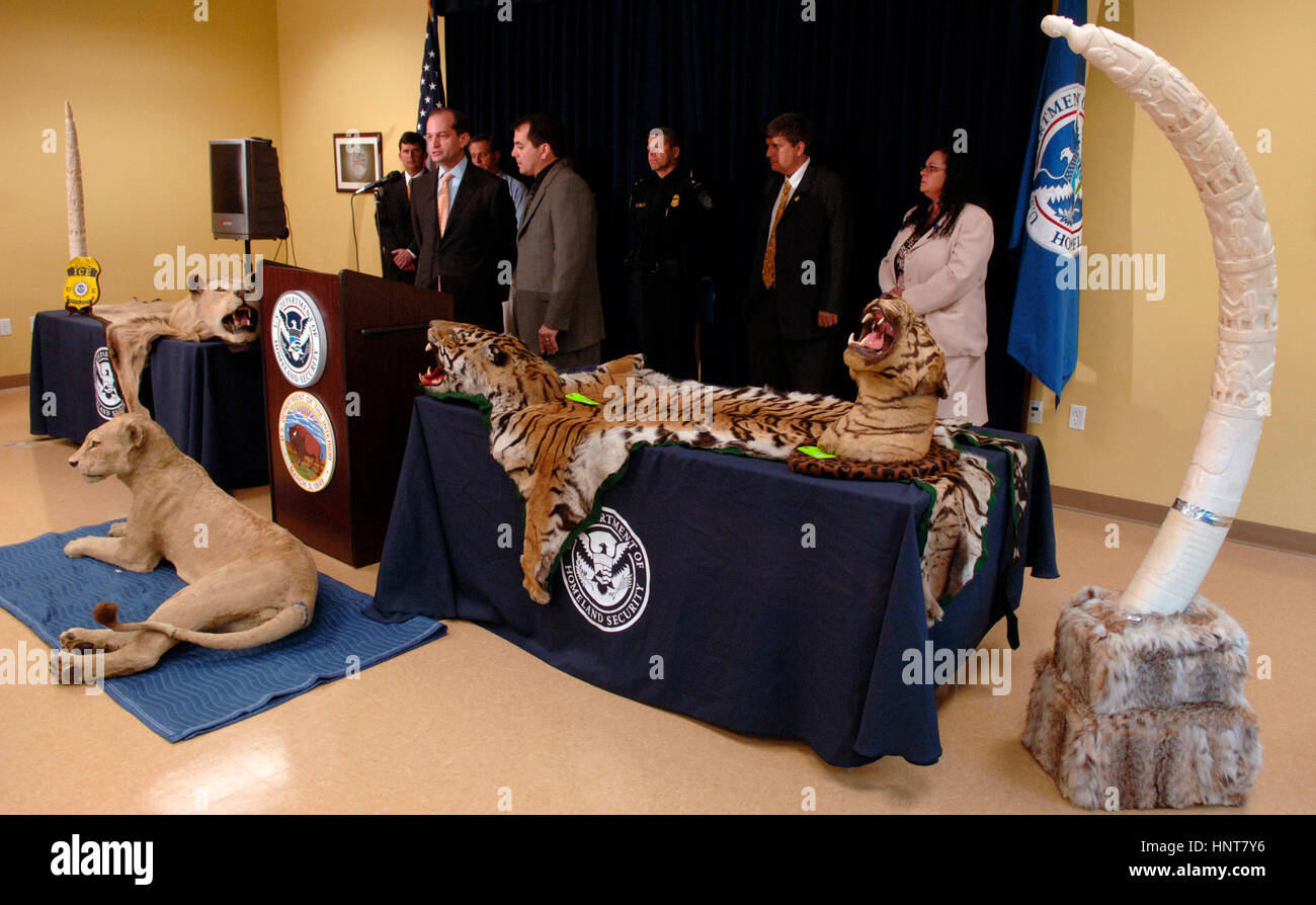 Miami, FL, USA. 13th May, 2009. Florida, USA - United States - wildlife ...