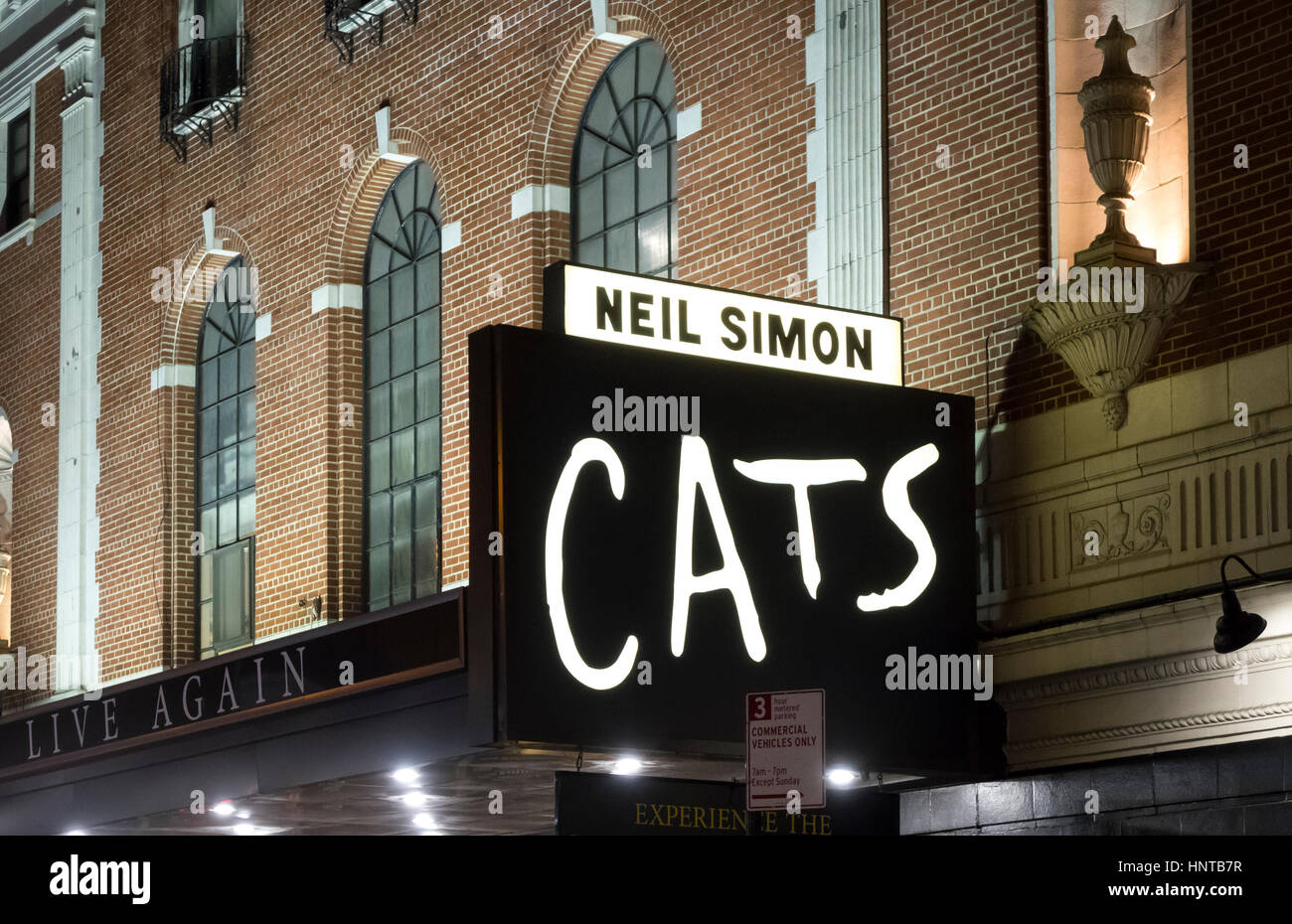 Cats, the Andrew Lloyd Webber musical Stock Photo - Alamy