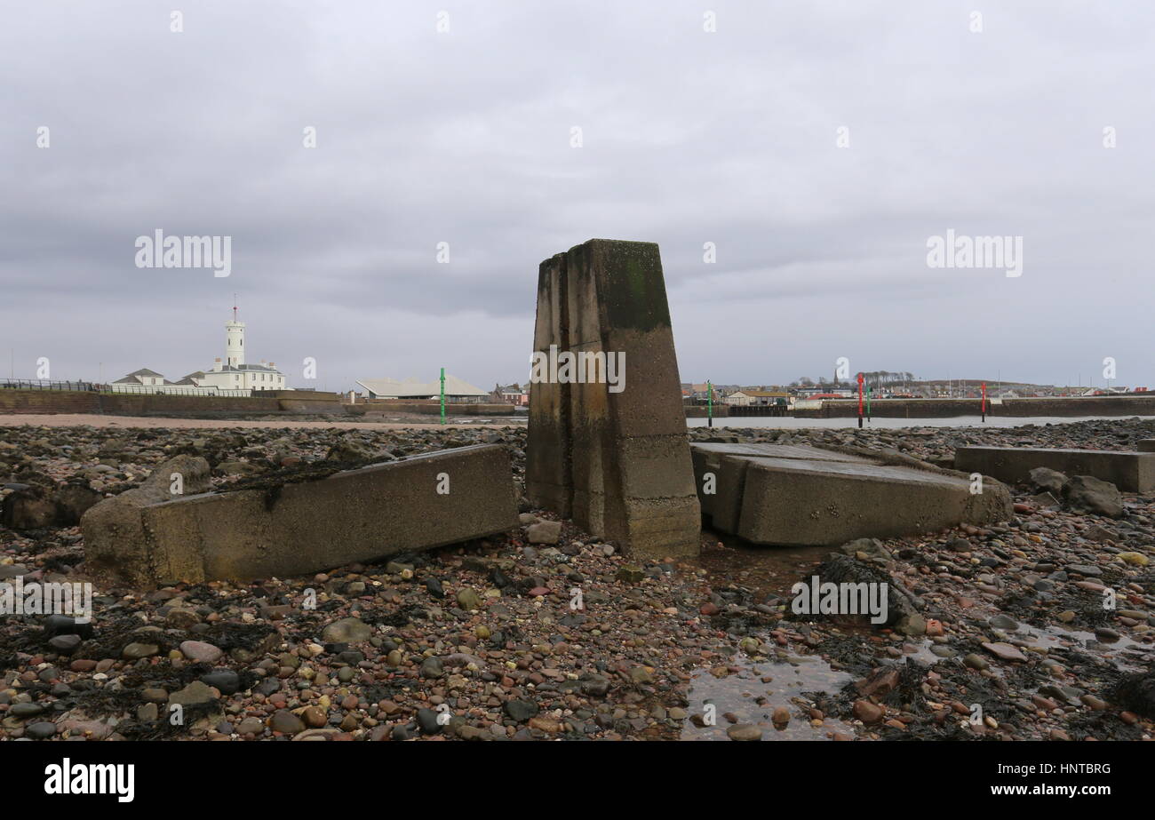 Storm angus hi-res stock photography and images - Alamy