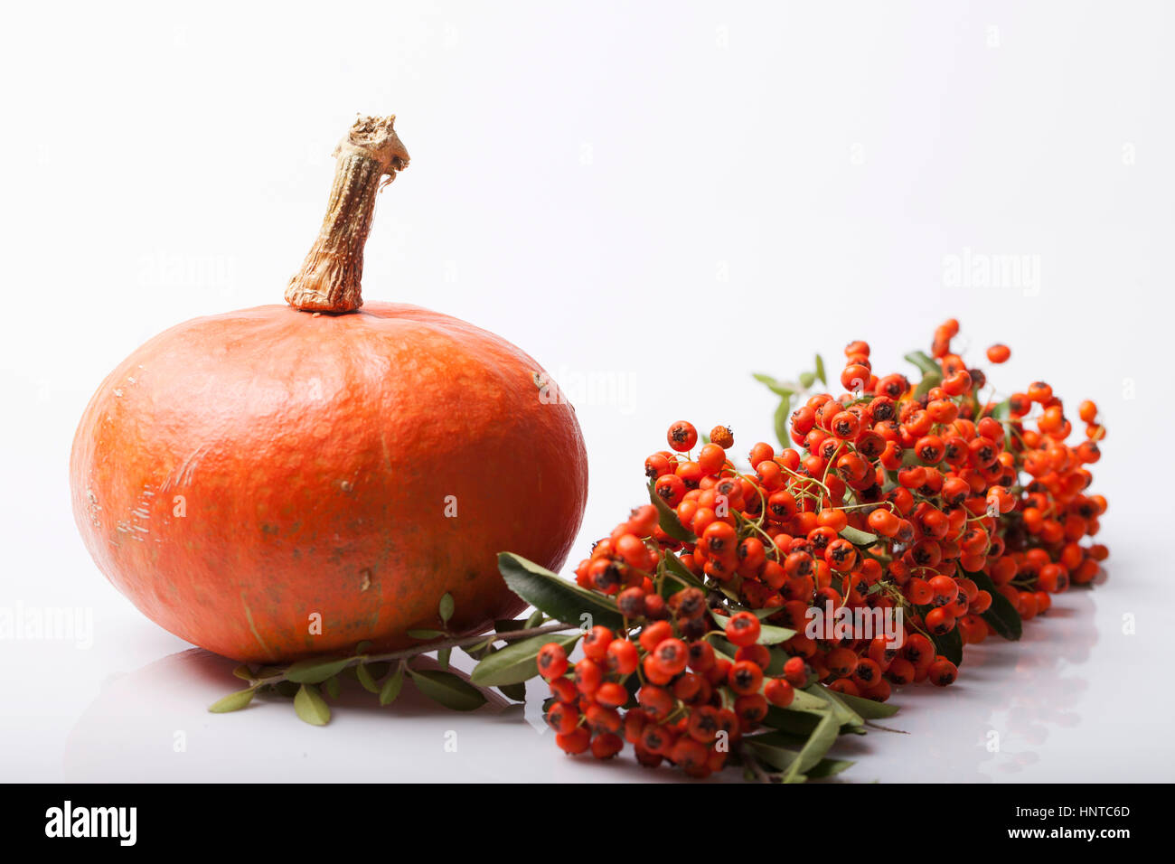 Pumpkin and squash autumn backgrounds on the table Stock Photo - Alamy