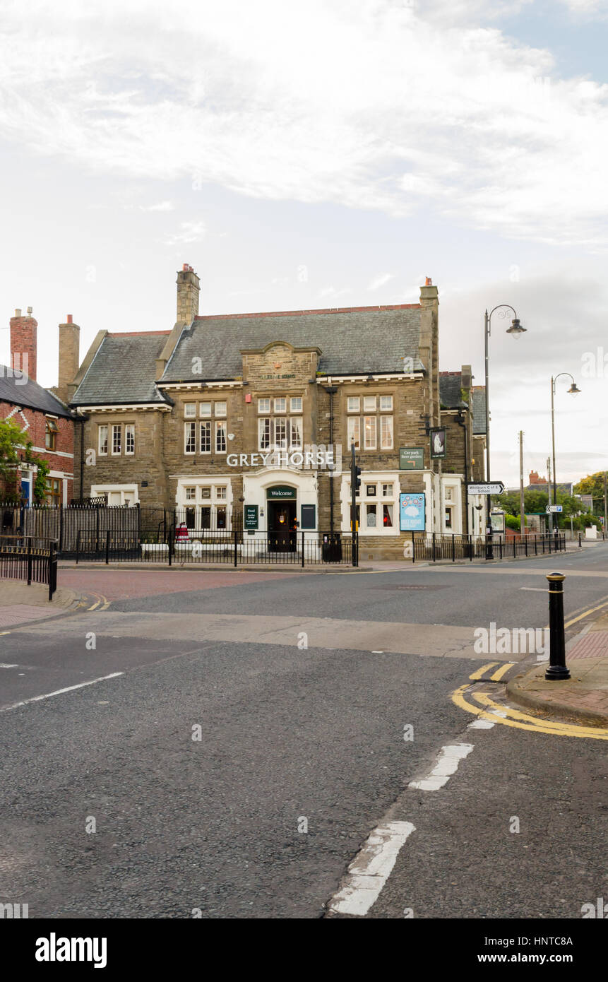 Grey horse whitburn hi-res stock photography and images - Alamy