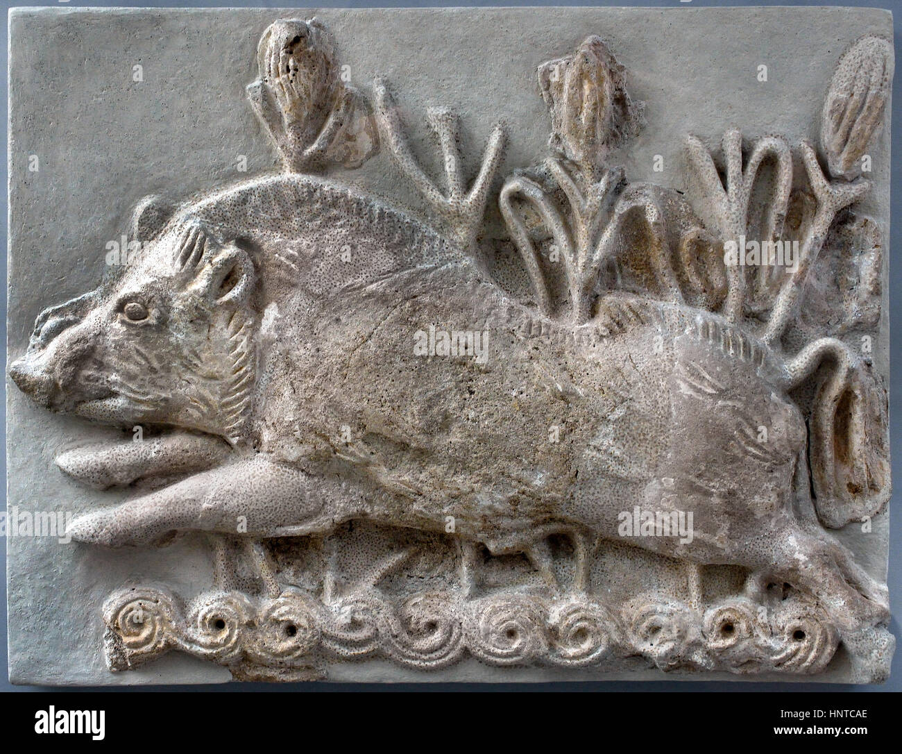 Ctesiphon area hi-res stock photography and images - Alamy