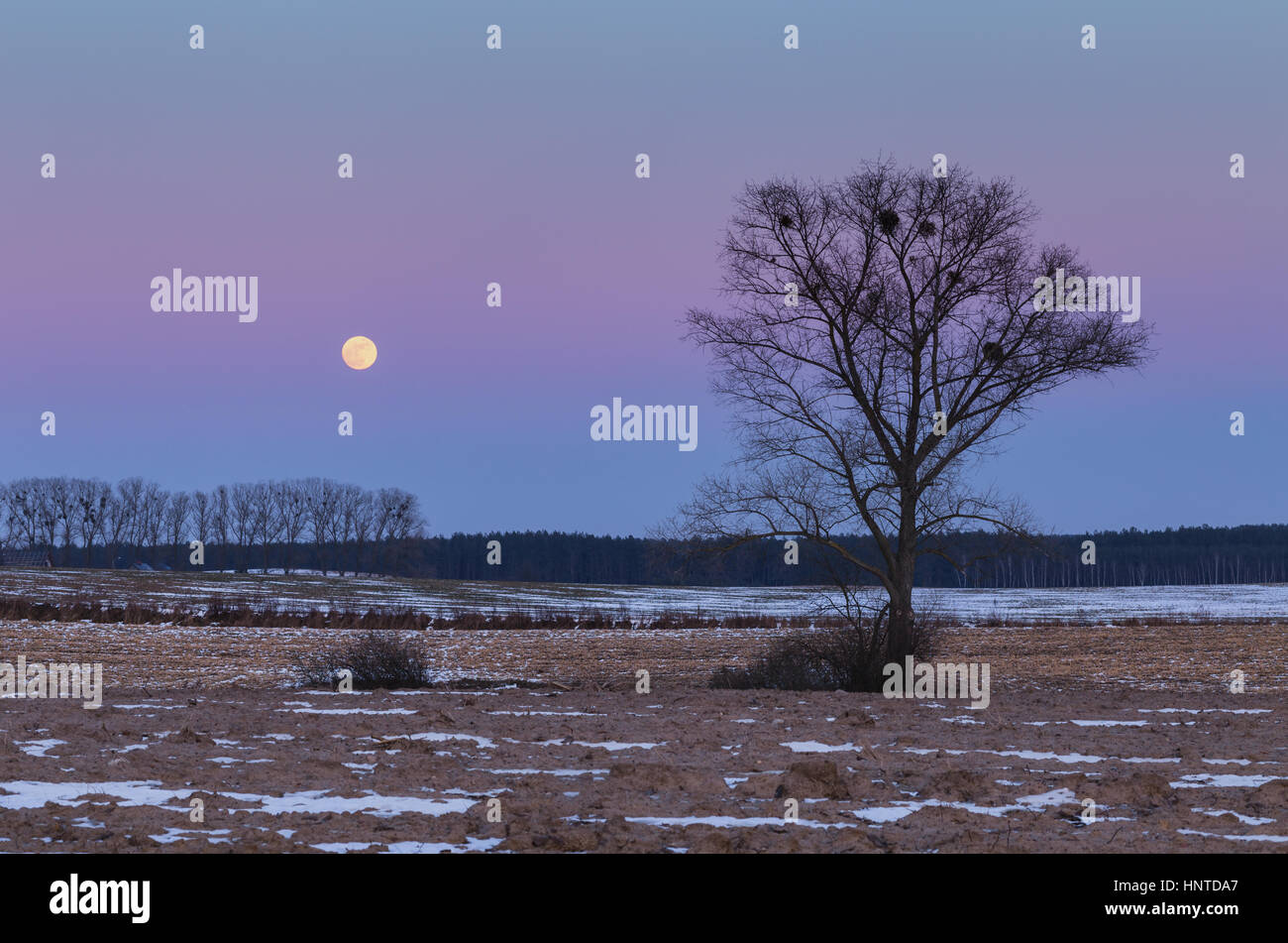 Full moon over snowy landscape hi-res stock photography and images - Alamy