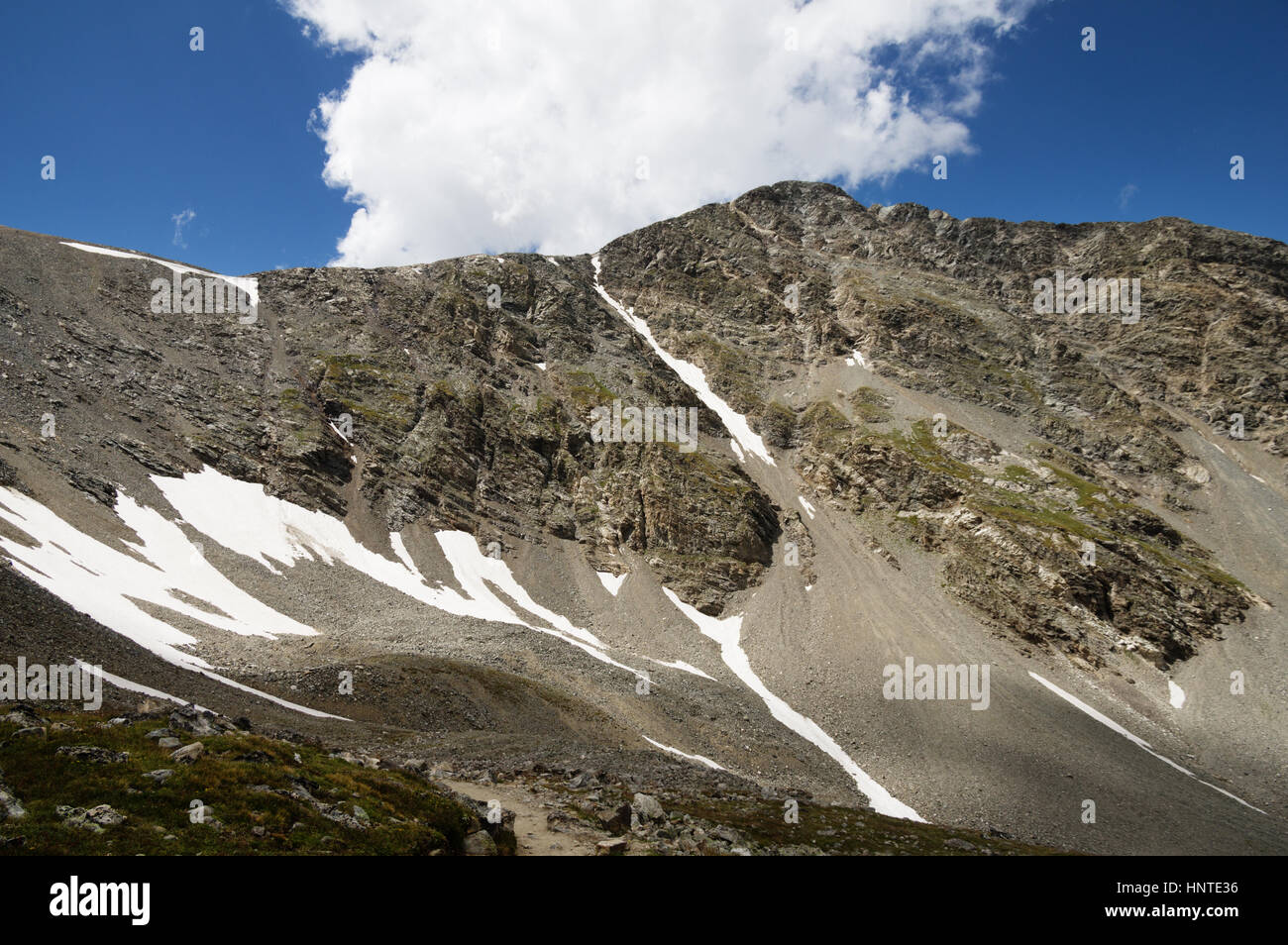 Torreys Peak, a 14247 foot mountain in Colorado Stock Photo - Alamy