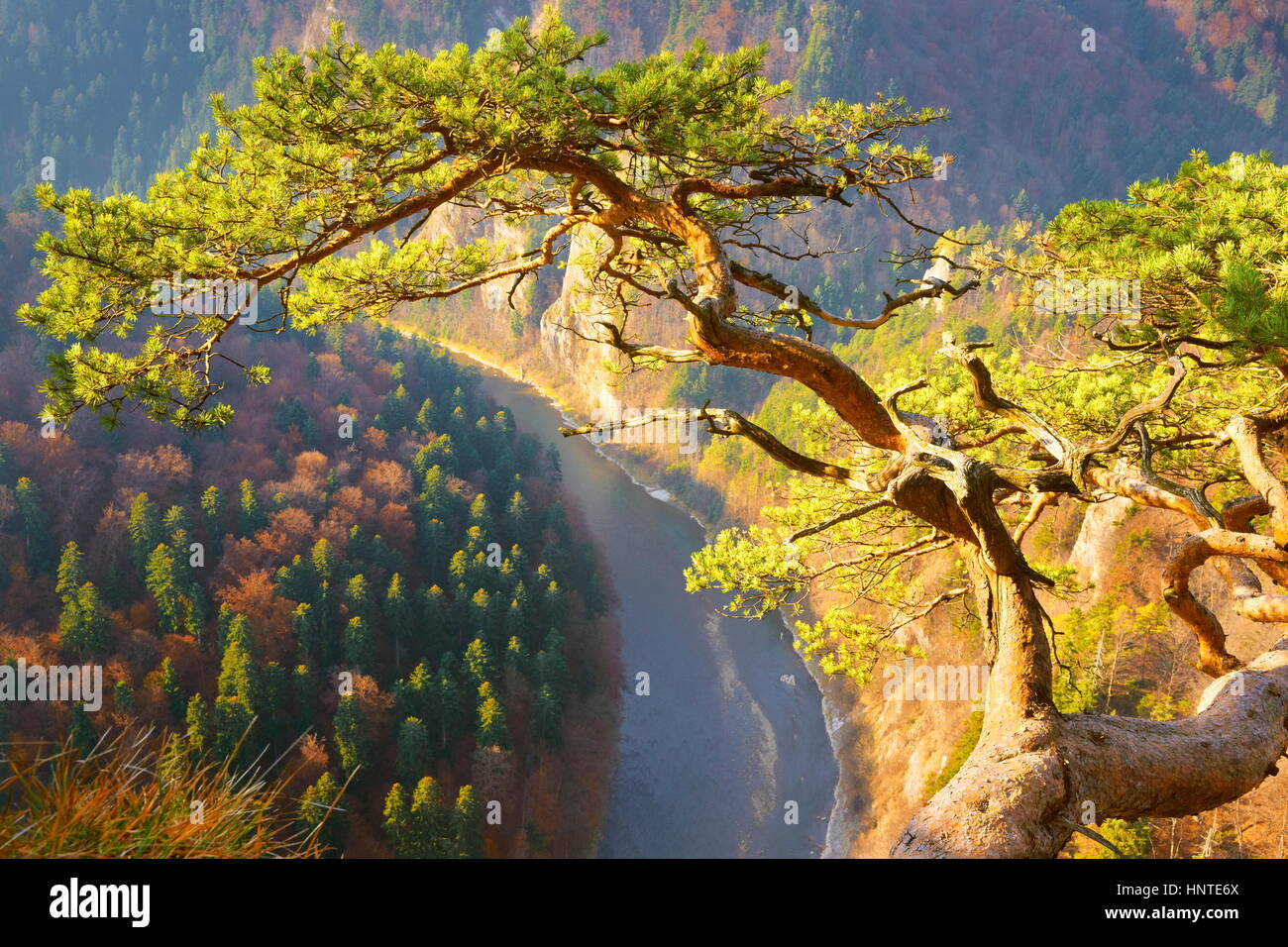Dunajec river gorge hi-res stock photography and images - Alamy