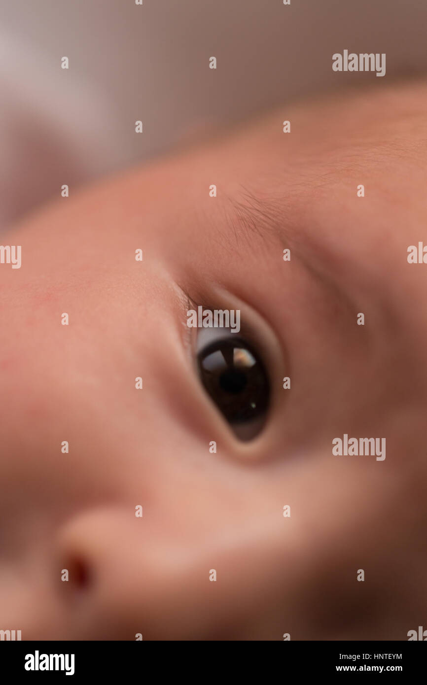 Look at the viewer hi-res stock photography and images - Alamy