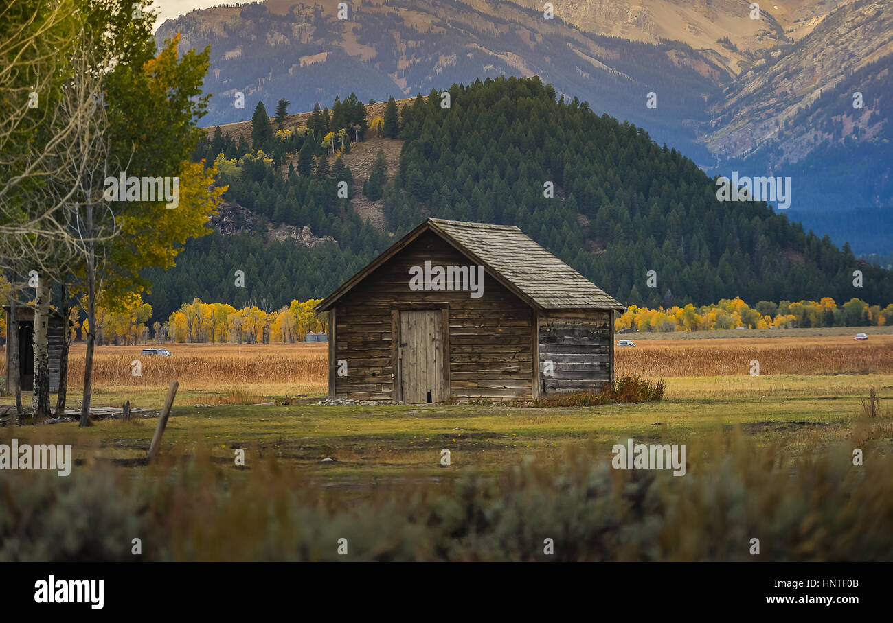 Wonderful Autumn at Mormon Row Historic in Grand Teton National Park ...