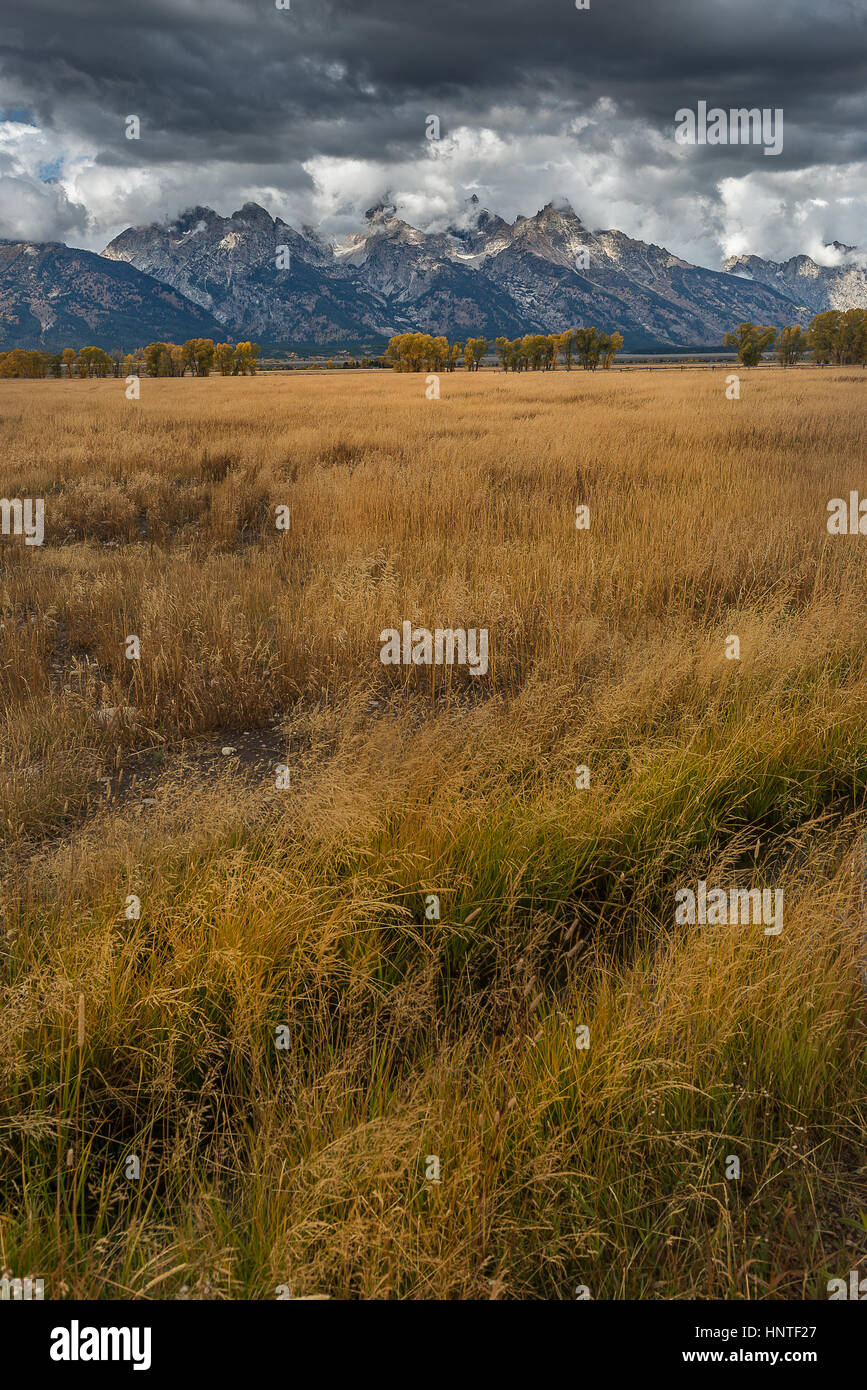 Landscape of Grand Teton National Park in the autumn, Landscape ...