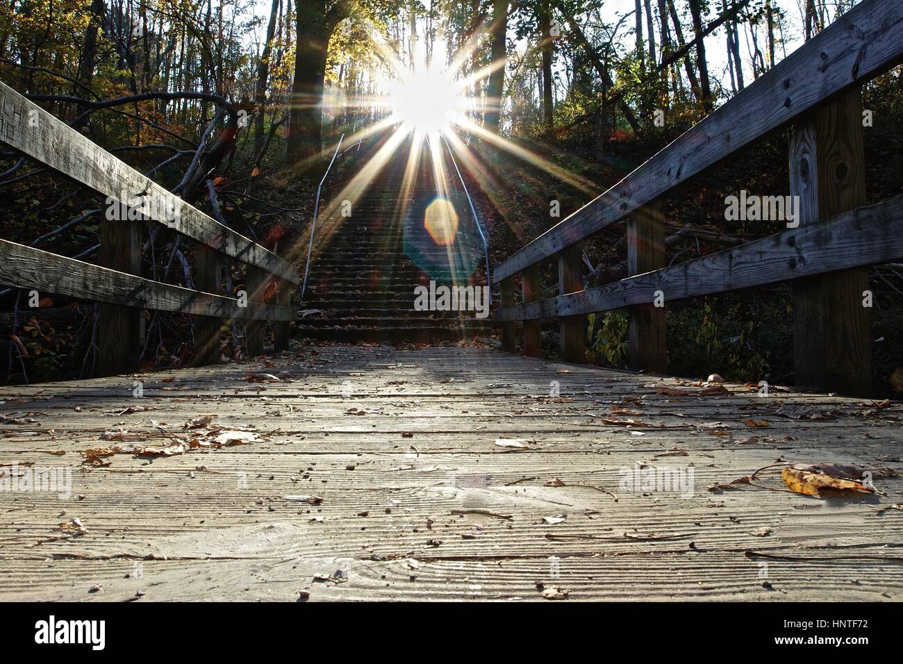 Walk in the light Stock Photo - Alamy