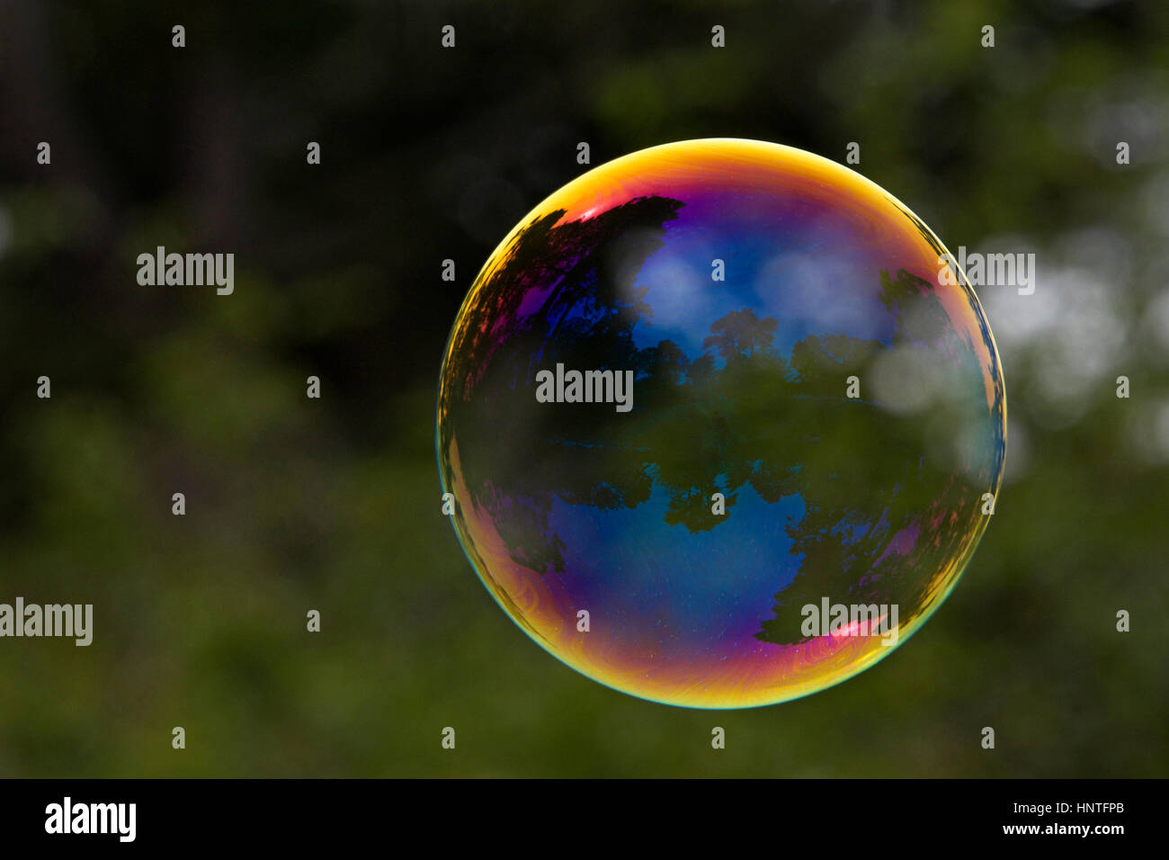 Large soap bubble reflecting outdoor park scene from San Francisco ...