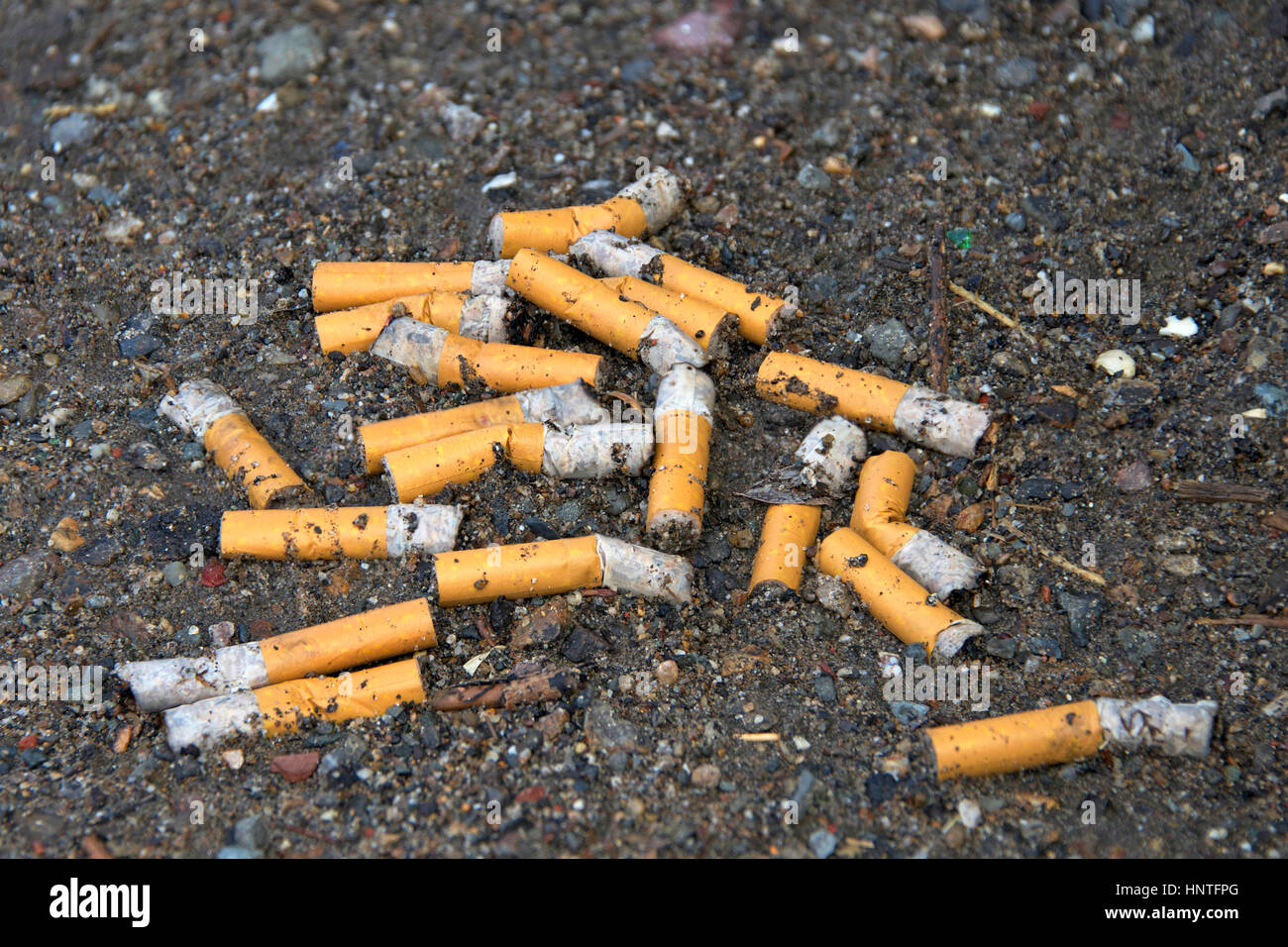 Pile of old cigarette butts on the ground, tossed by careless, uncaring ...