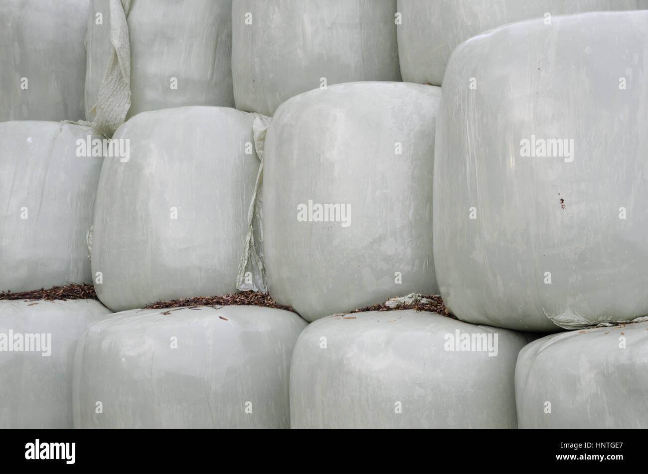 Large wrapped silage bales Stock Photo - Alamy
