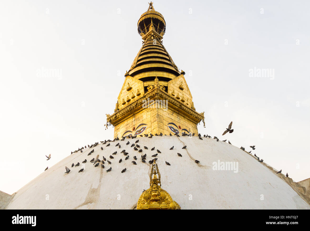 Golden view of Swayambhunath Stupa Kathmandu,Nepal Stock Photo - Alamy