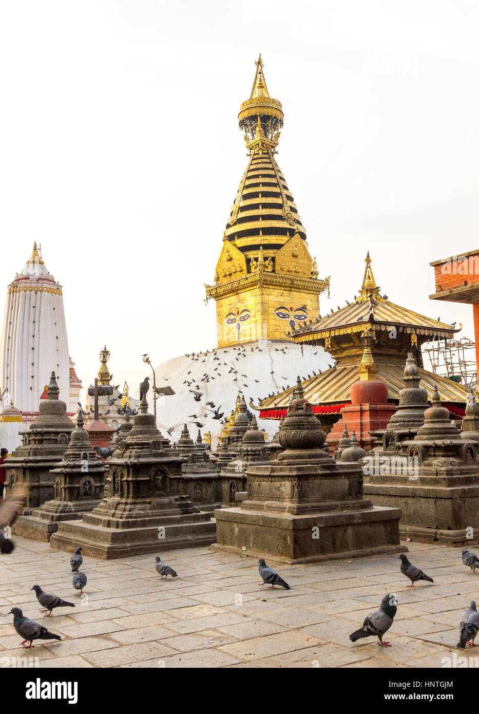 Golden view of Swayambhunath Stupa Kathmandu,Nepal Stock Photo - Alamy