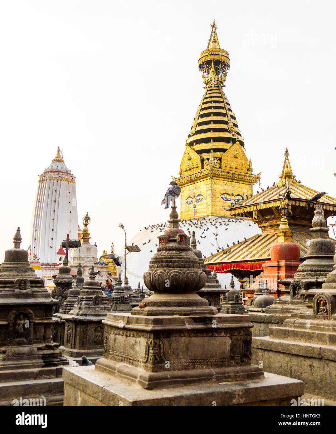 Golden view of Swayambhunath Stupa Kathmandu,Nepal Stock Photo - Alamy