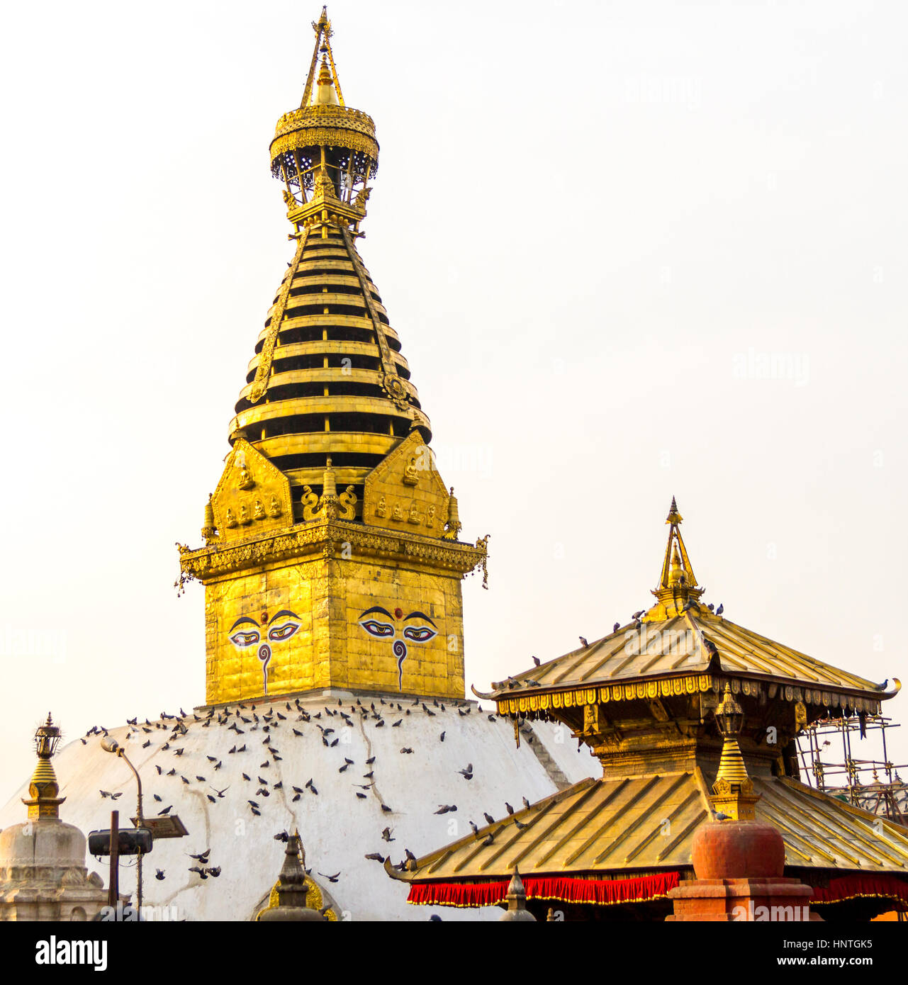 Golden view of Swayambhunath Stupa Kathmandu,Nepal Stock Photo - Alamy