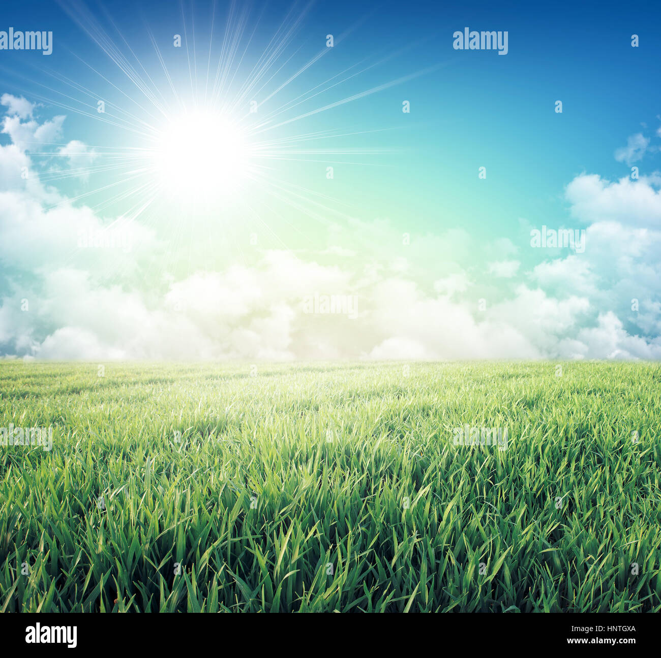 Environmental friendly country hi-res stock photography and images - Alamy