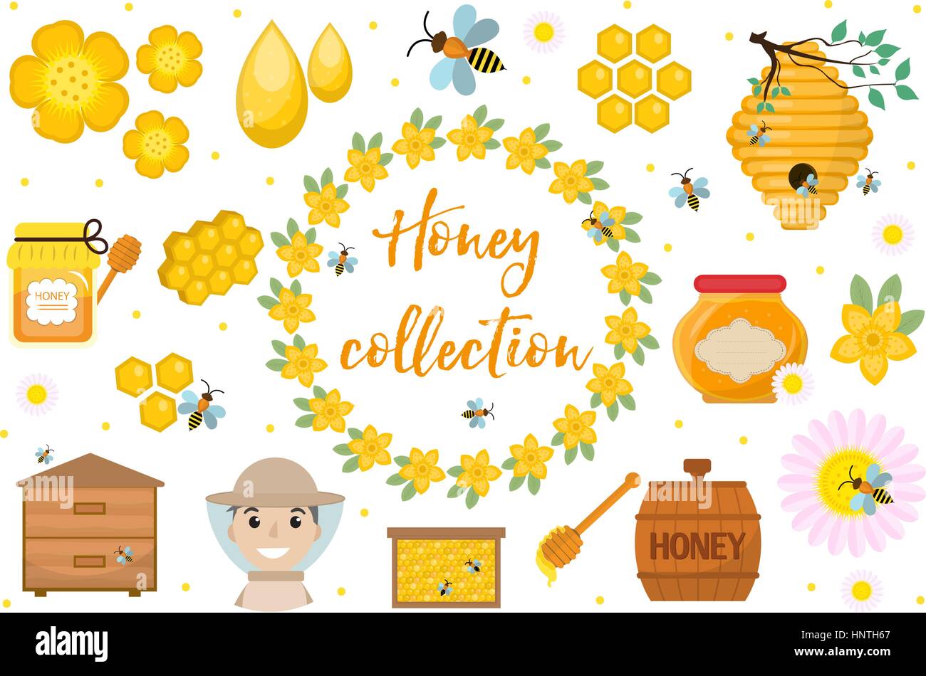 Honey collection. Beekeeping set of objects isolated on white ...