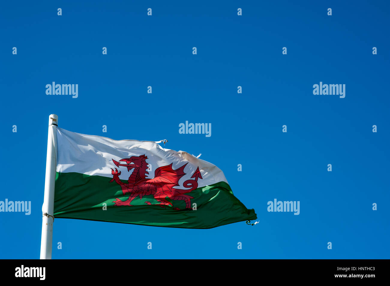 Welsh flag pole hi-res stock photography and images - Alamy