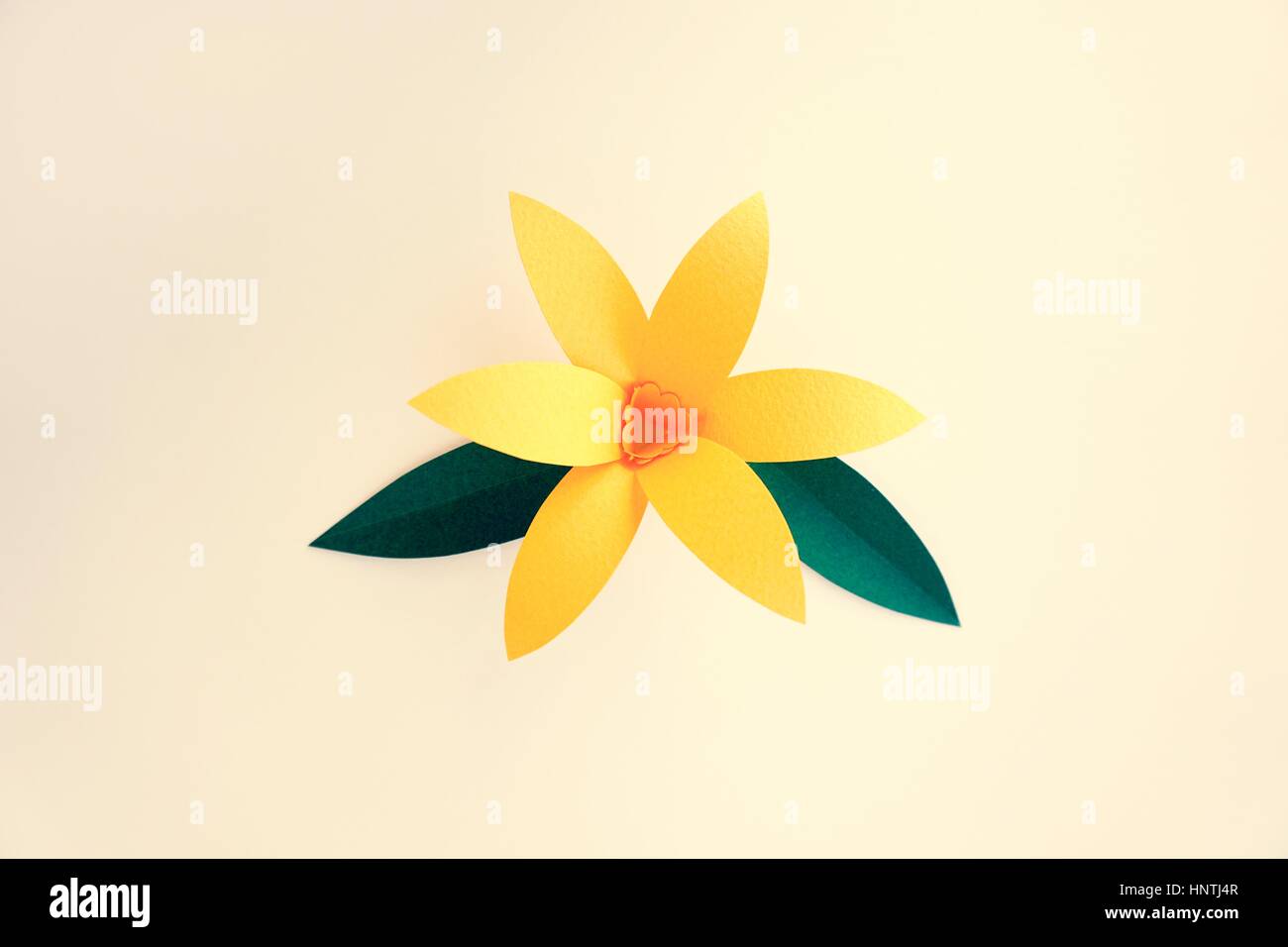 Handmade Papercraft Flowers Isolated Art Stock Photo - Alamy