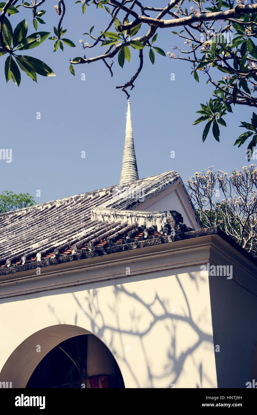 Church Trees Leaf Branches Nature Stock Photo - Alamy