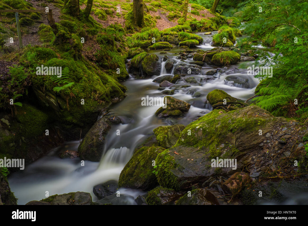 Natural water landscapes Stock Photo - Alamy